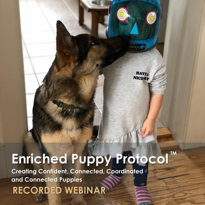 Enriched Puppy Protocol Webinar - suzanneclothier