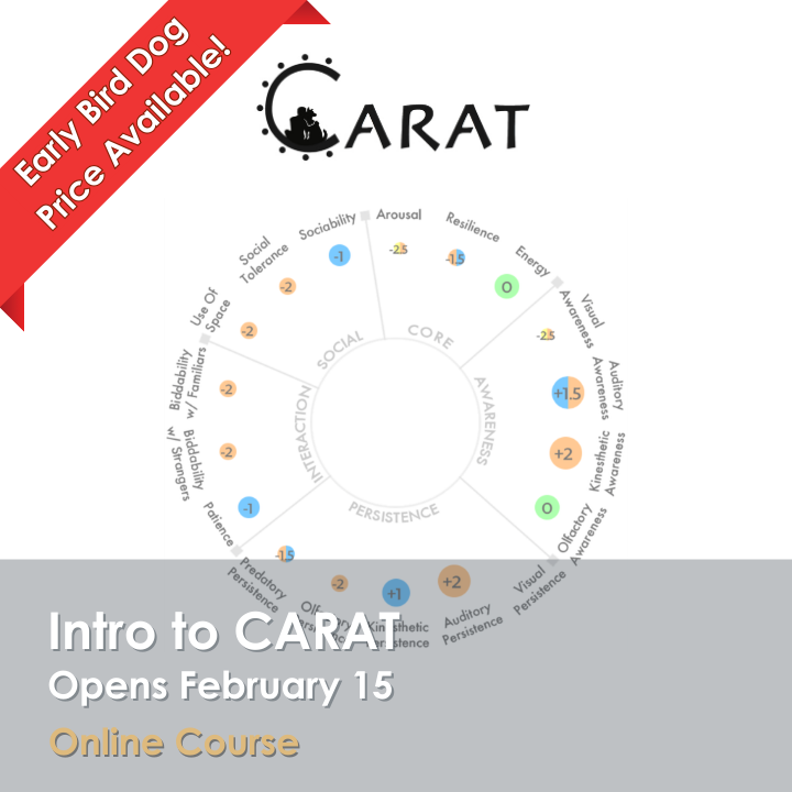 Intro to CARAT - suzanneclothier