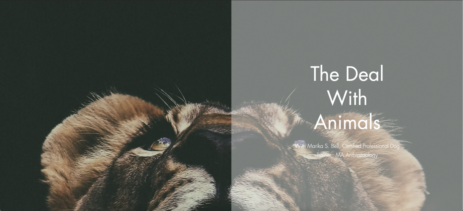 PODCAST: The Deal With Animals/Marika Bell interviews Suzanne Clothier ...