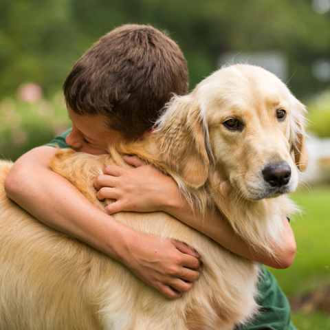 A Simple Question: Heard, Helped or Hugged? - suzanneclothier