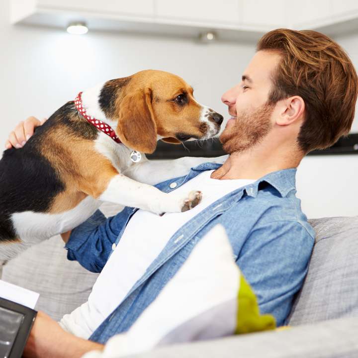 Training Equals Conversation - suzanneclothier
