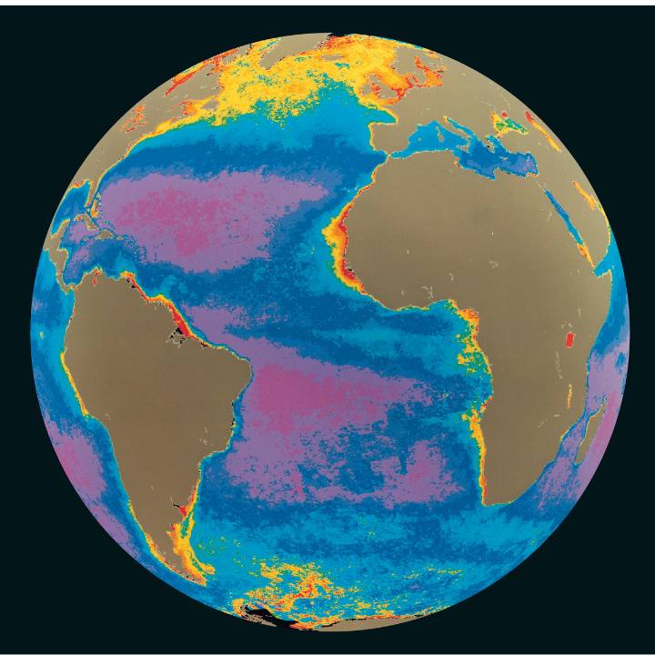 Be the Kindness the World Needs - suzanneclothier