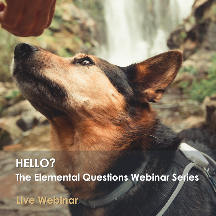 HELLO? The Elemental Questions Webinar Series - suzanneclothier