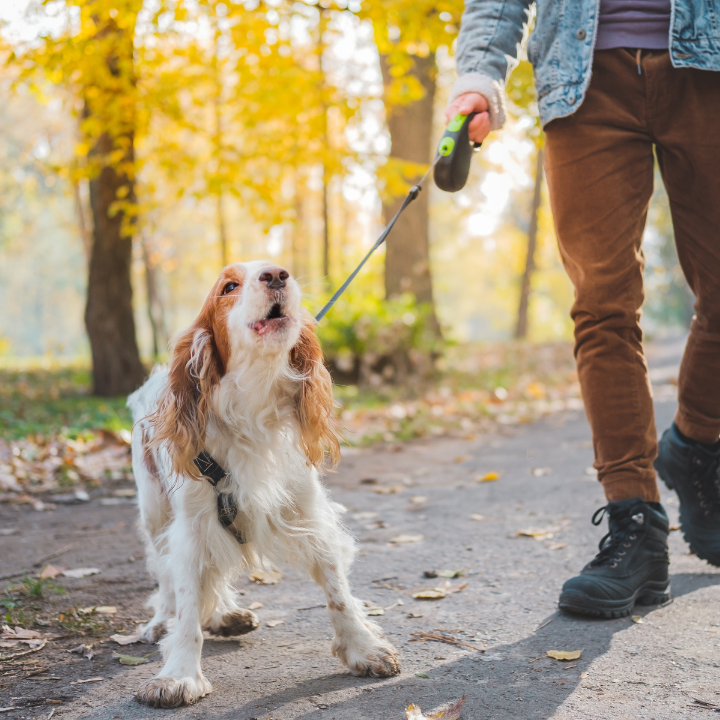 Building a Treat/Retreat Specialty Practice: A Business Opportunity for ...